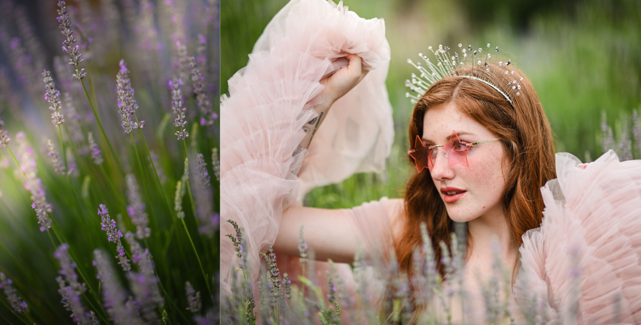 LAVENDER FIELD PHOTOSHOOT WITH BABY GOATS IN NORTH CAROLINA | Radiant ...